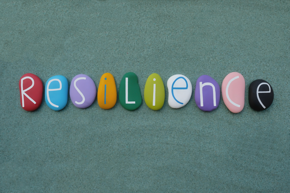 The three pillars of human resilience - World of Learning